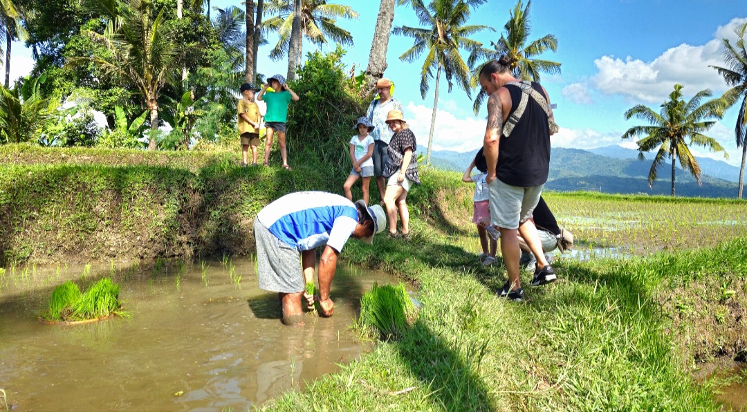Mayong Cultural Walk - Bali Local Experience