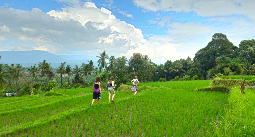 Mayong Cultural Walk - Bali Local Experience